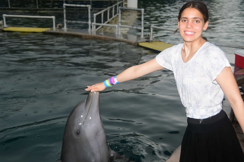 My Day at Miami Seaquarium Dolphin Meet & Greet